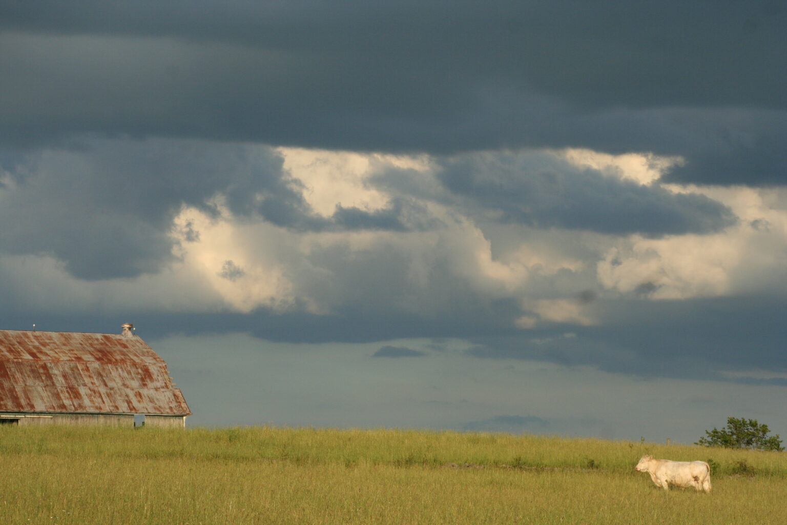 Programs Listing | Dorje Denma Ling